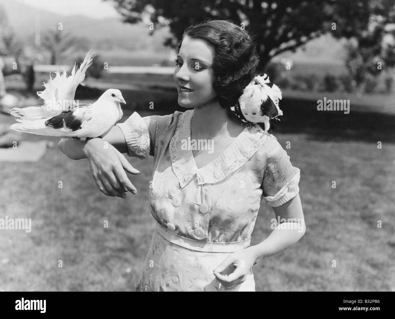 Adult birds wildlife Black and White Stock Photos & Images - Alamy