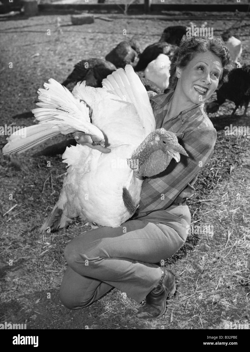 Rustic turkey Black and White Stock Photos & Images - Alamy