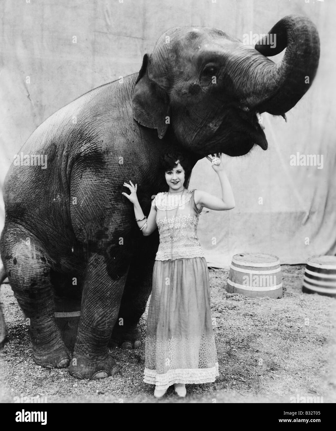 Portrait of a young woman standing under an elephant Stock Photo - Alamy