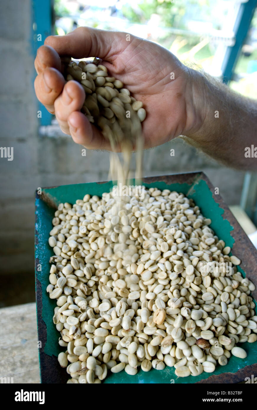 Cook islands coffee hi-res stock photography and images - Alamy
