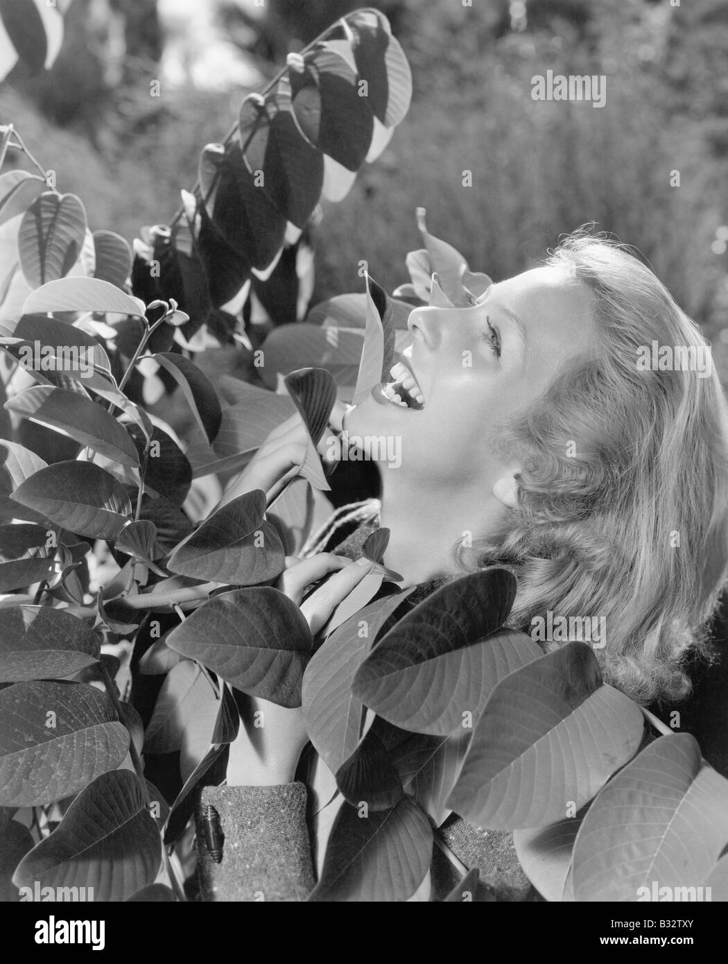 Vivacious woman looking up into a tree Stock Photo - Alamy