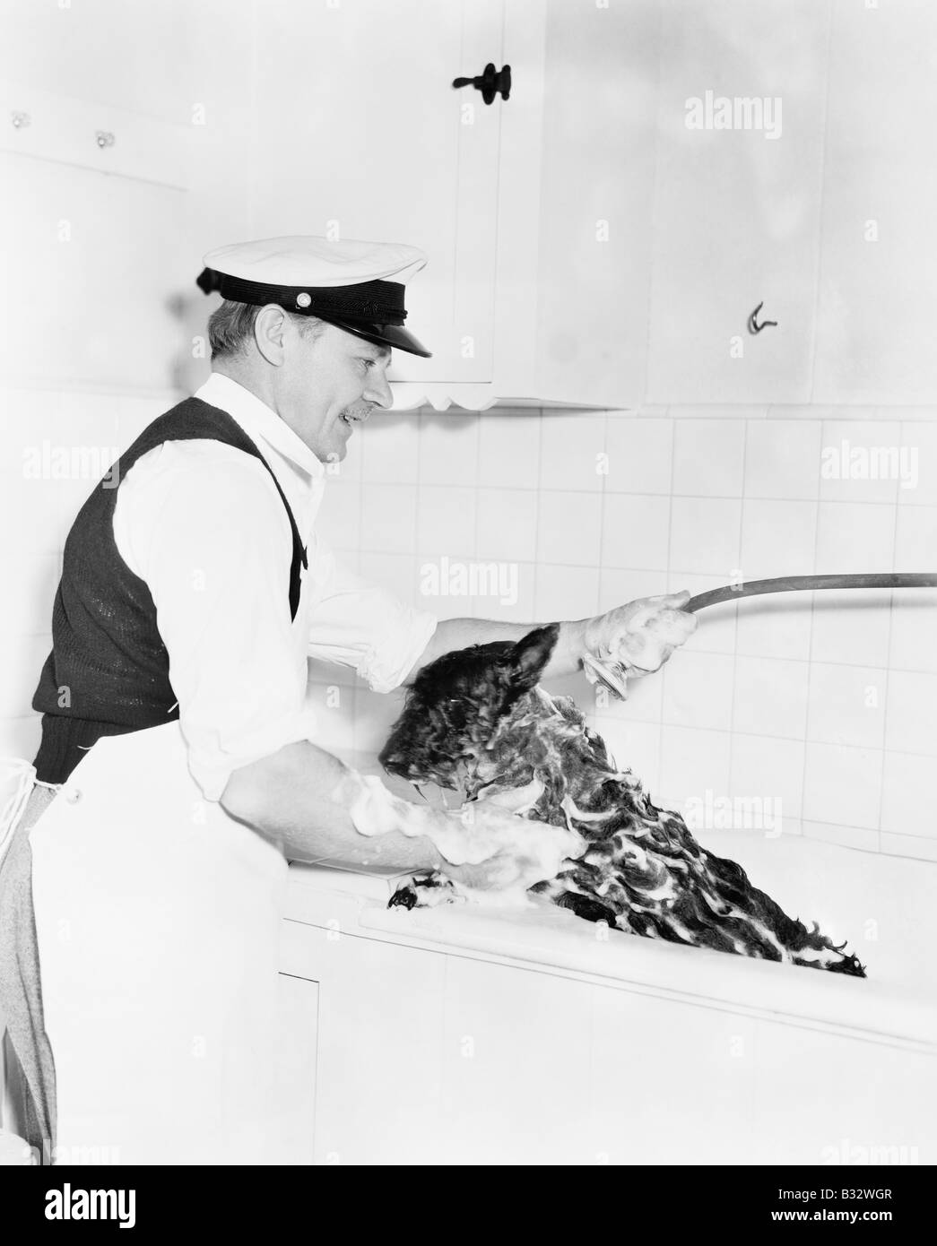 Man washing his dog in a tub Stock Photo - Alamy
