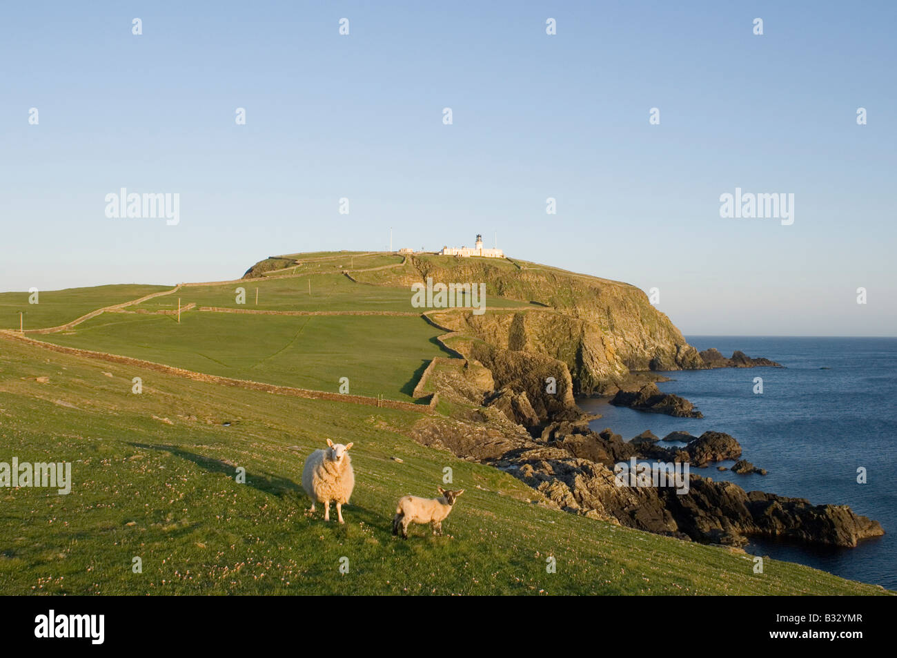 Sumburgh rspb reserve hi-res stock photography and images - Alamy