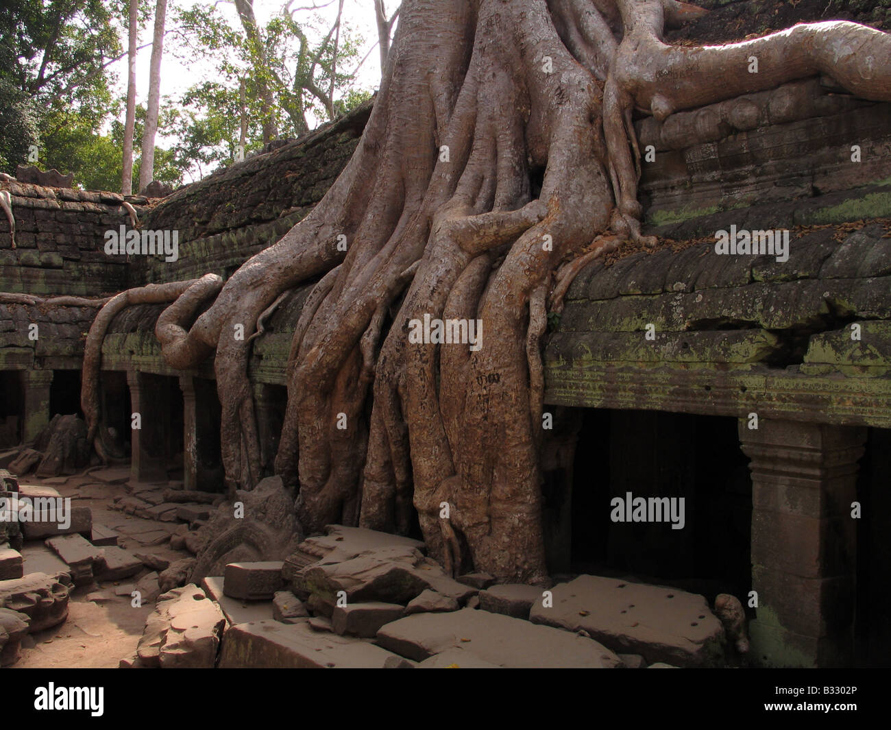 Asia, Cambodia, Khmer-temples , Ta Prohm, monastery temple, overgrown ...