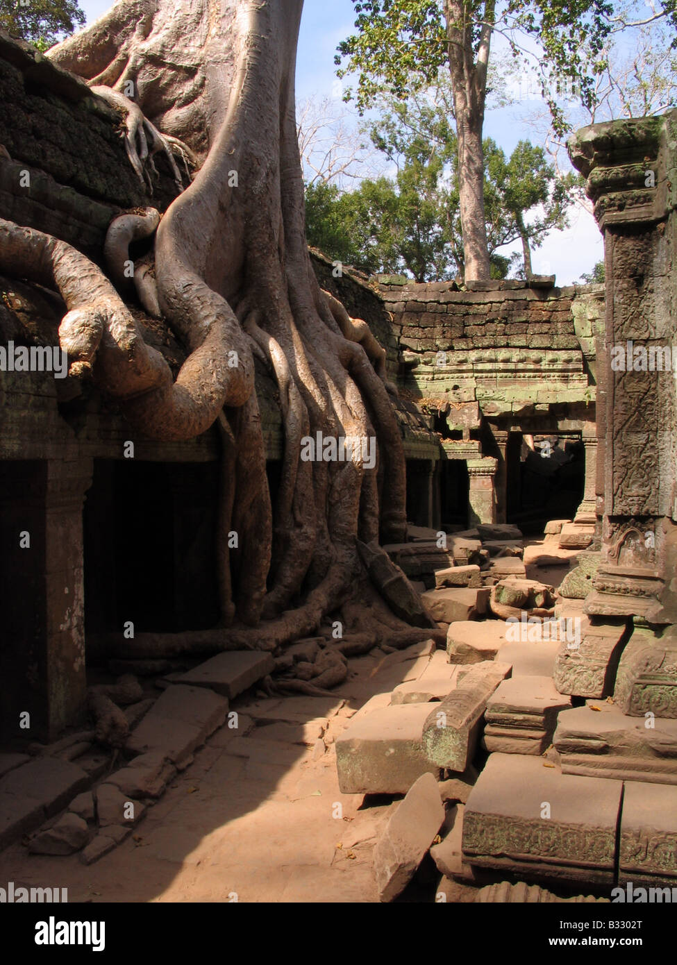 Asia, Cambodia, Khmer-temples , Ta Prohm, monastery temple, overgrown ...