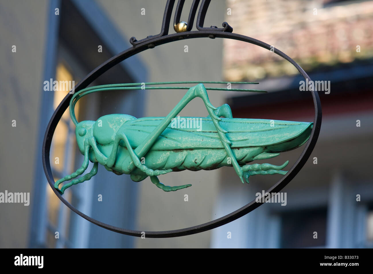 Grasshoppers zurich hi-res stock photography and images - Alamy