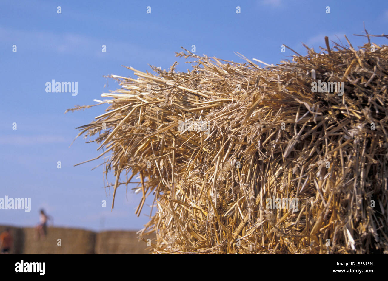 bale of straw Stock Photo - Alamy