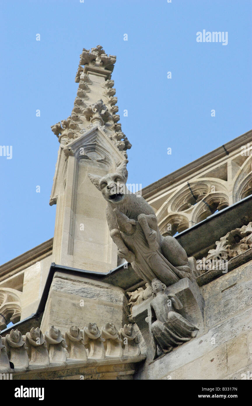 waterspout at the St. Stephen's Cathedral Stock Photo - Alamy