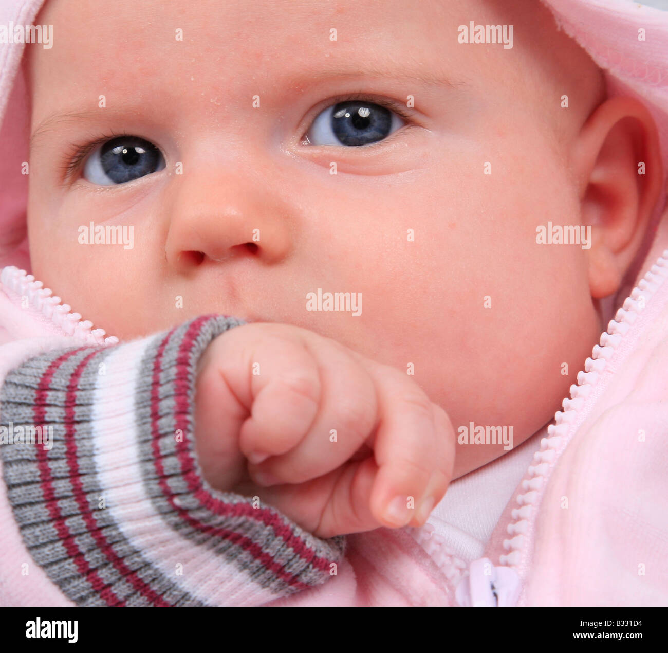 portrait of a baby in an pink anorak Stock Photo - Alamy