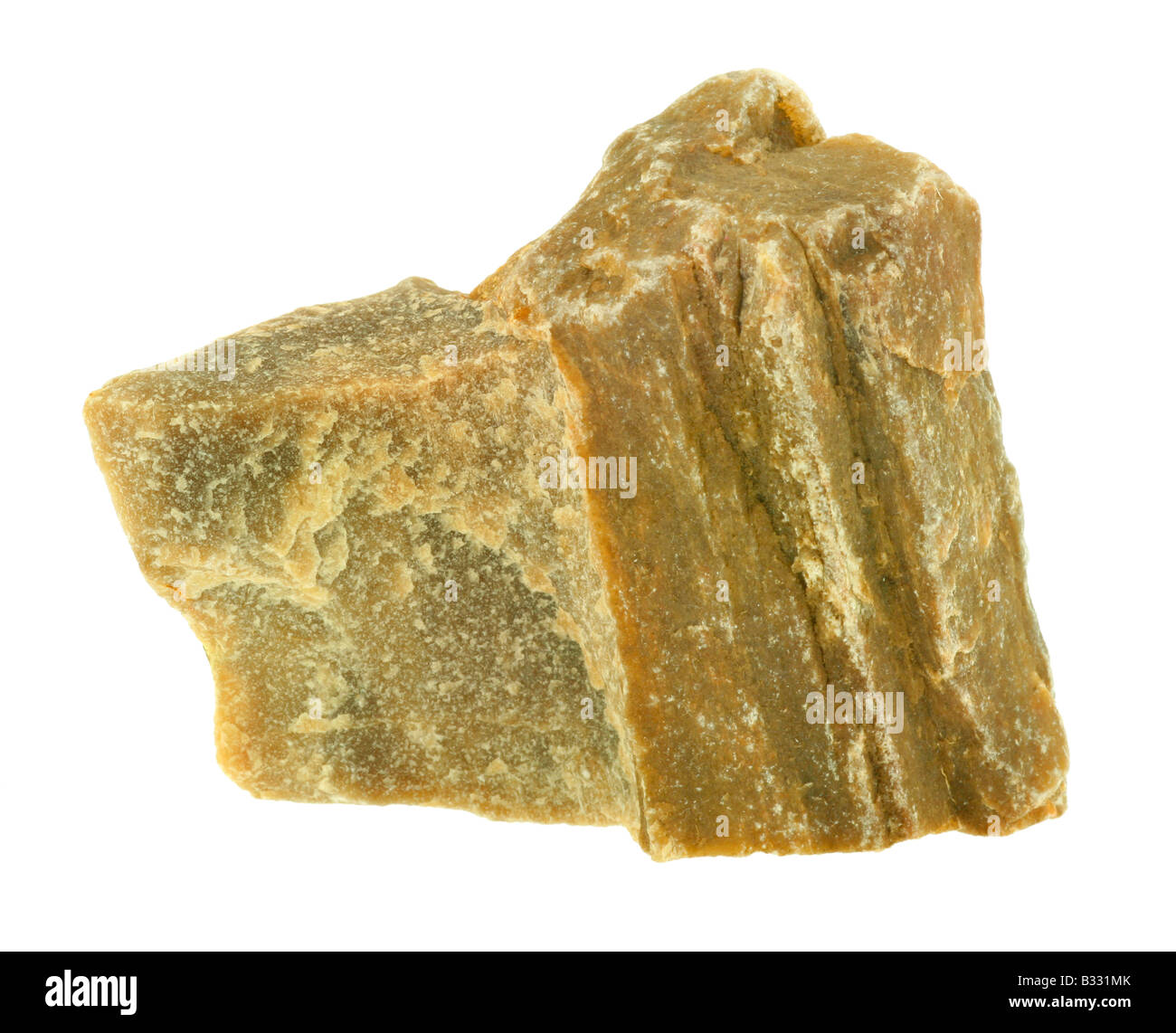 petrified piece of wood Stock Photo - Alamy