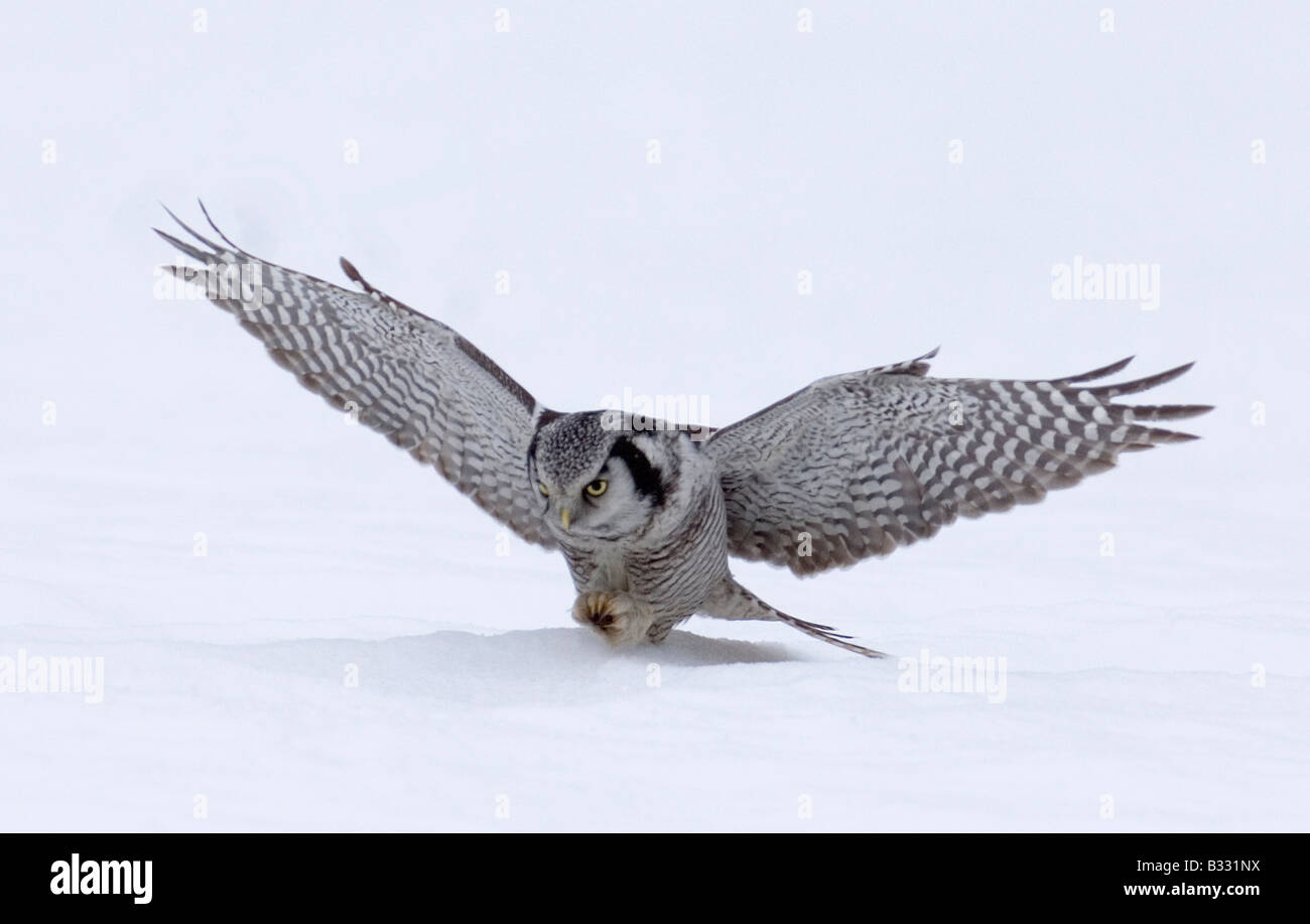 Vaala hi-res stock photography and images - Alamy