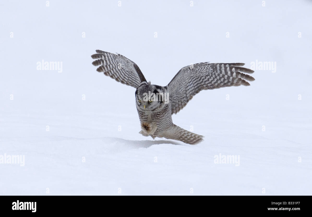 Vaala hi-res stock photography and images - Alamy