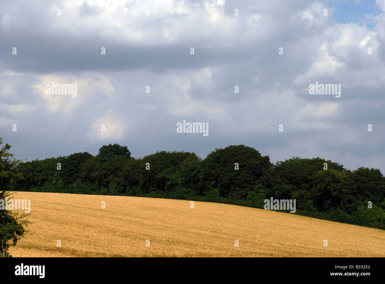 Barley grey hi-res stock photography and images - Alamy