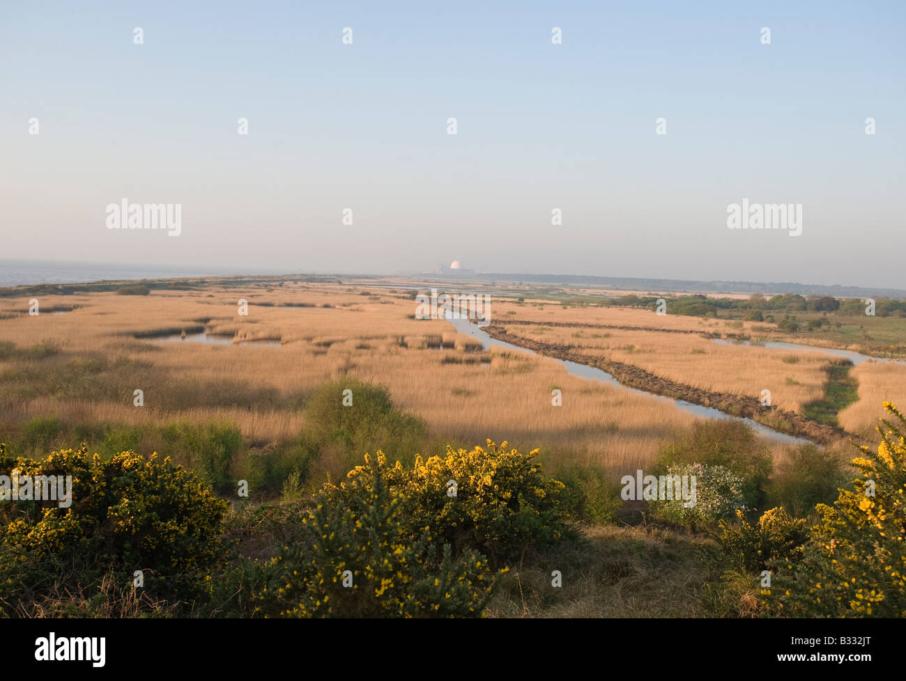 Minsmere reserve hi-res stock photography and images - Alamy