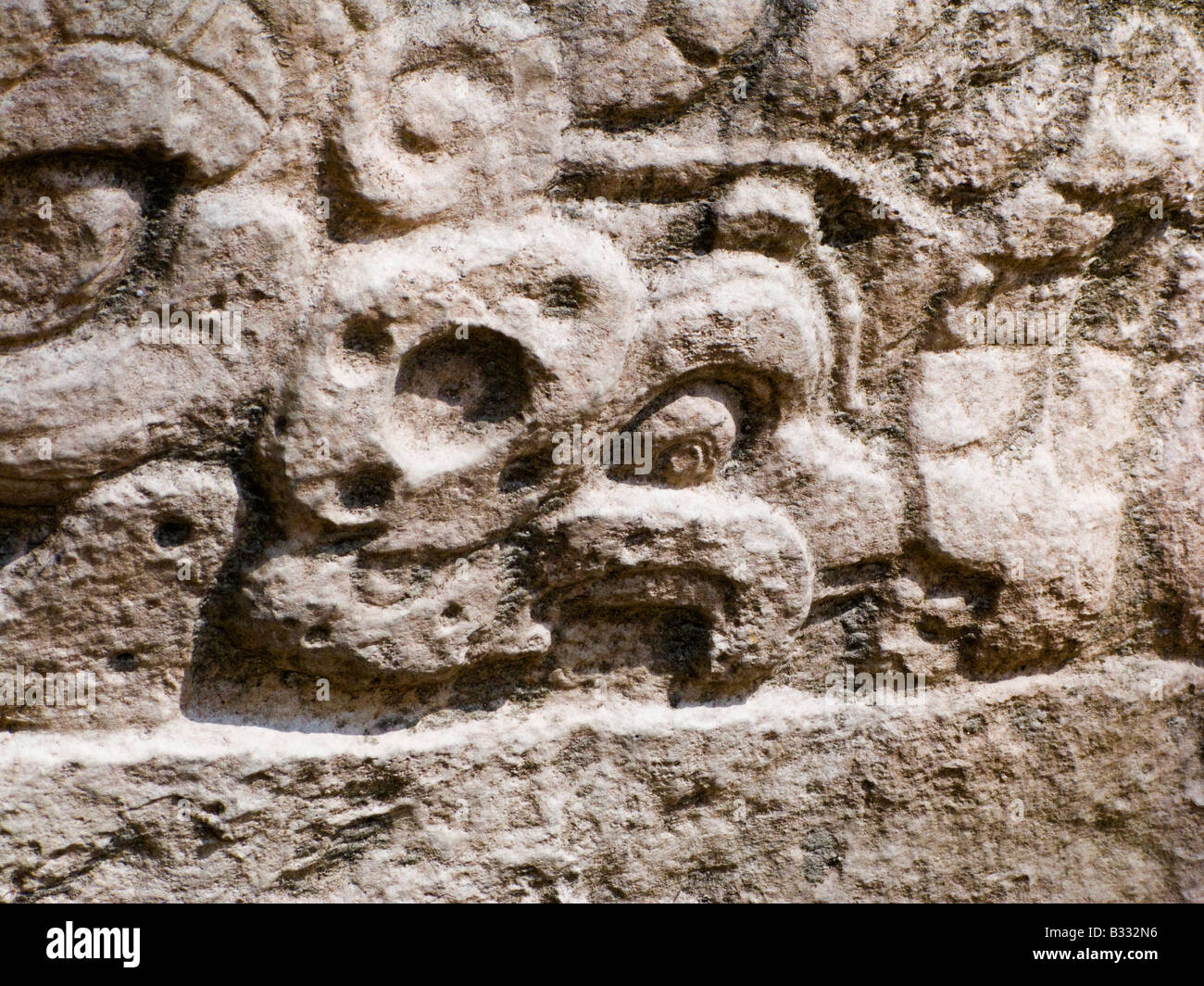 Glyph of a Parrot with a nut in bill from a Mayan Temple ay Yaxha in ...