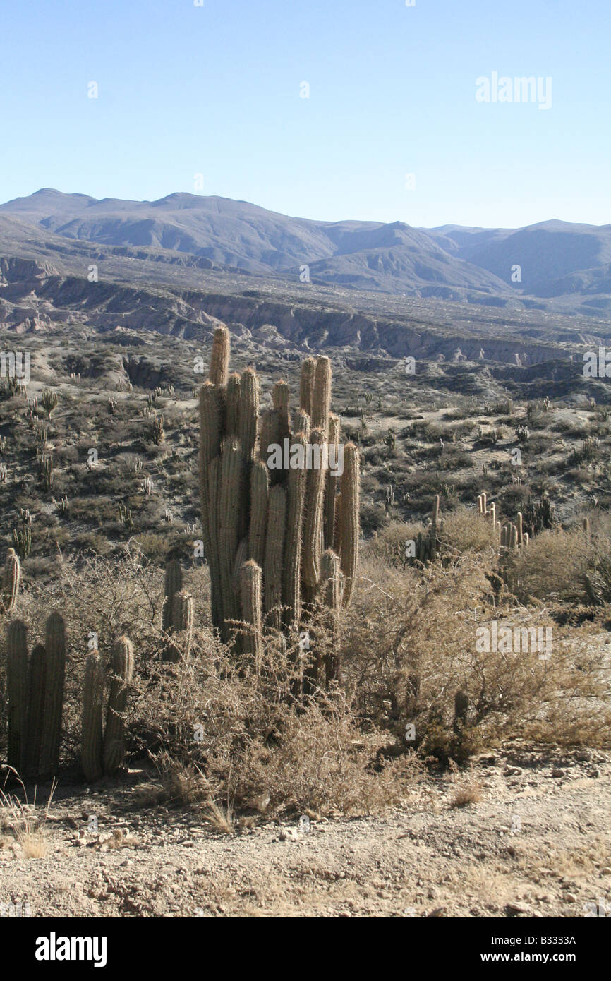 The barren landscape of Chile in South America Stock Photo - Alamy