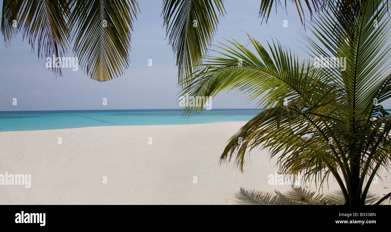 At the dream beach Stock Photo - Alamy