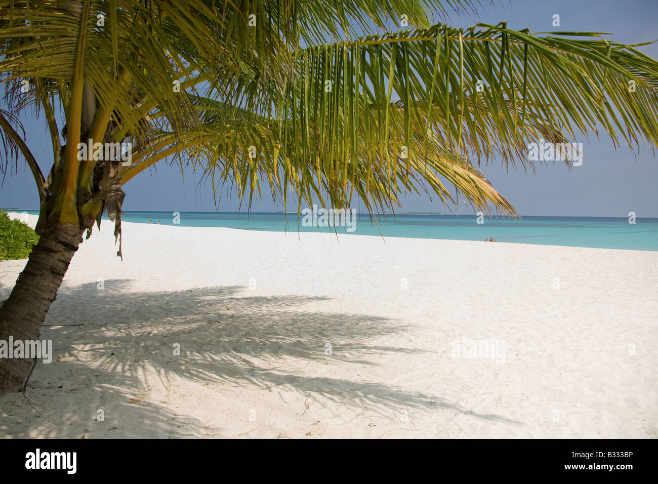 At the dream beach Stock Photo - Alamy