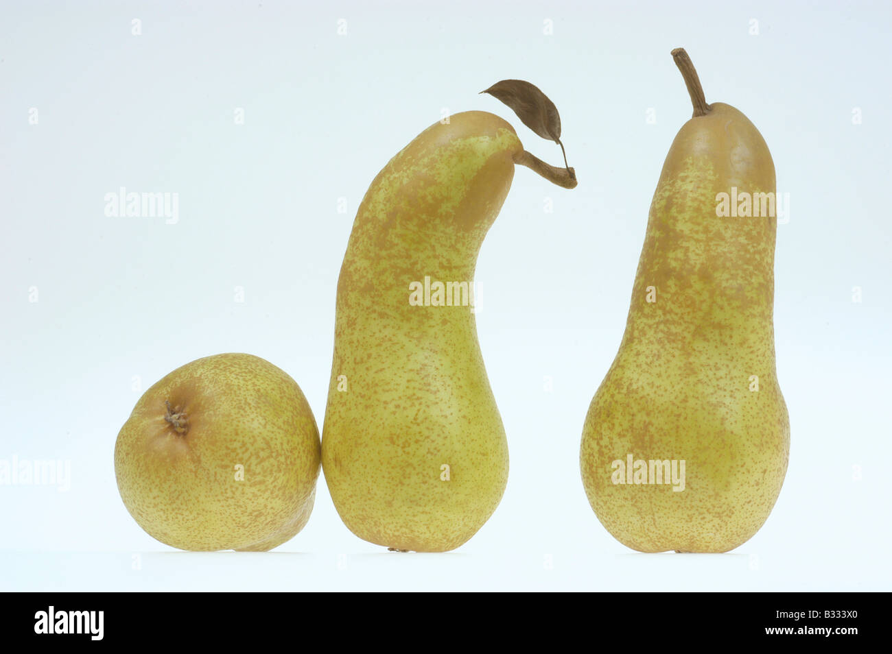 Pear studio taking Stock Photo - Alamy