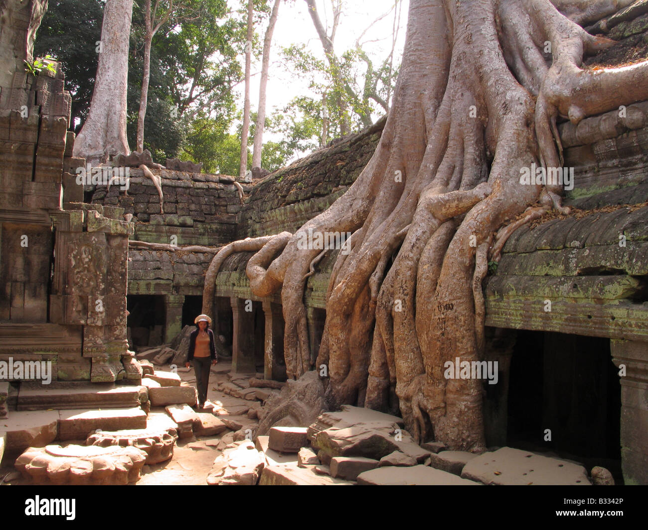 Asia, Cambodia, Khmer-temples , Ta Prohm, monastery temple, overgrown ...