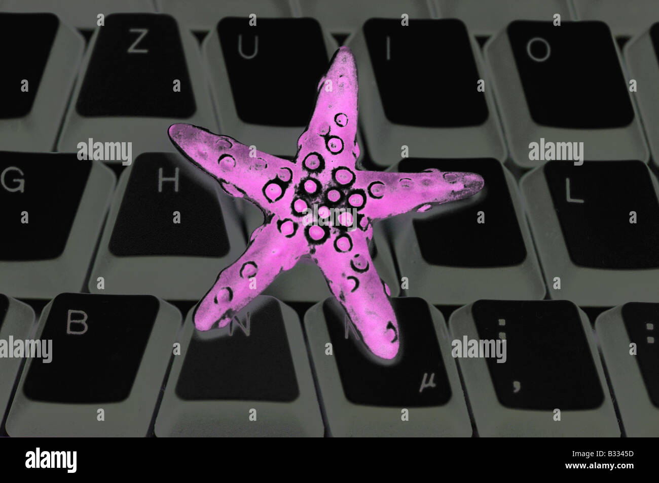 Sea-star on computer keyboard Stock Photo - Alamy