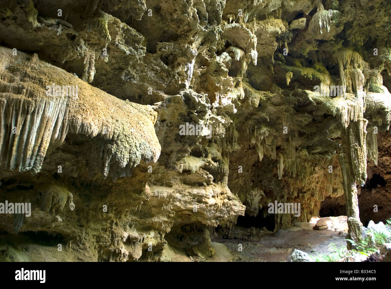 Anatakitaki Cave Atiu Cook Islands Stock Photo - Alamy