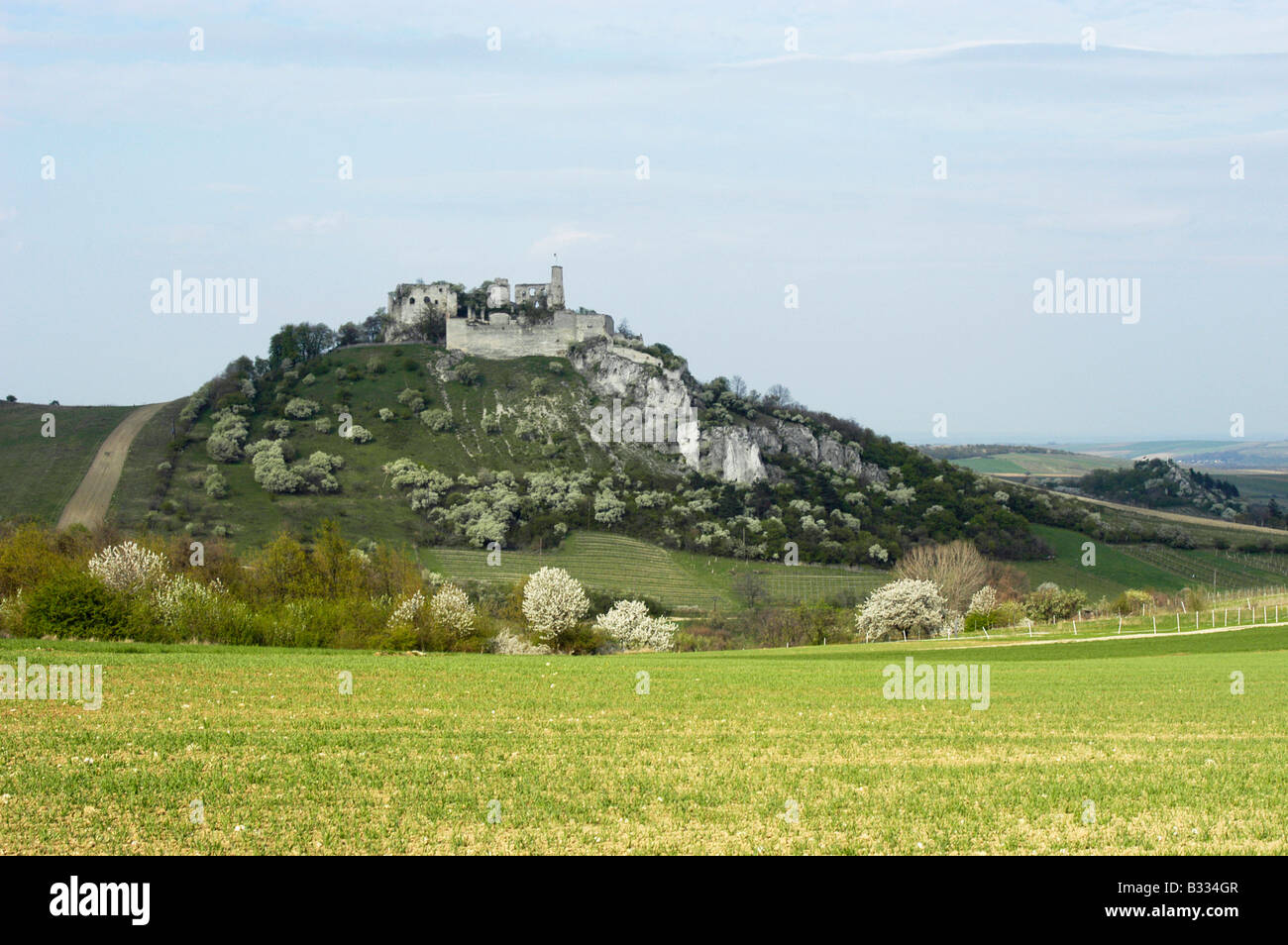 Castle ruin Falkenstein Stock Photo - Alamy