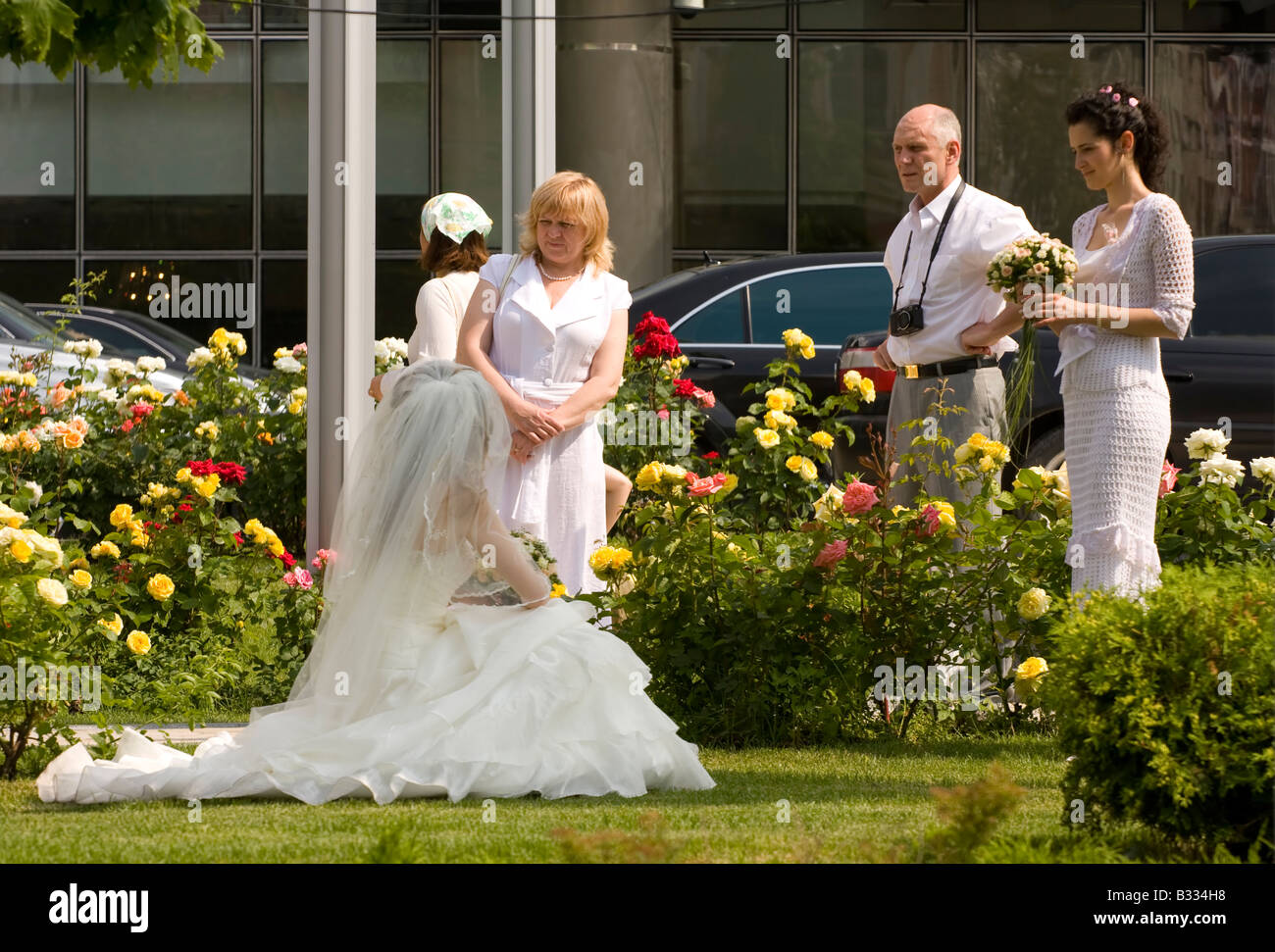 Bride in a white gown kneeling in a rose garden during a wedding ...