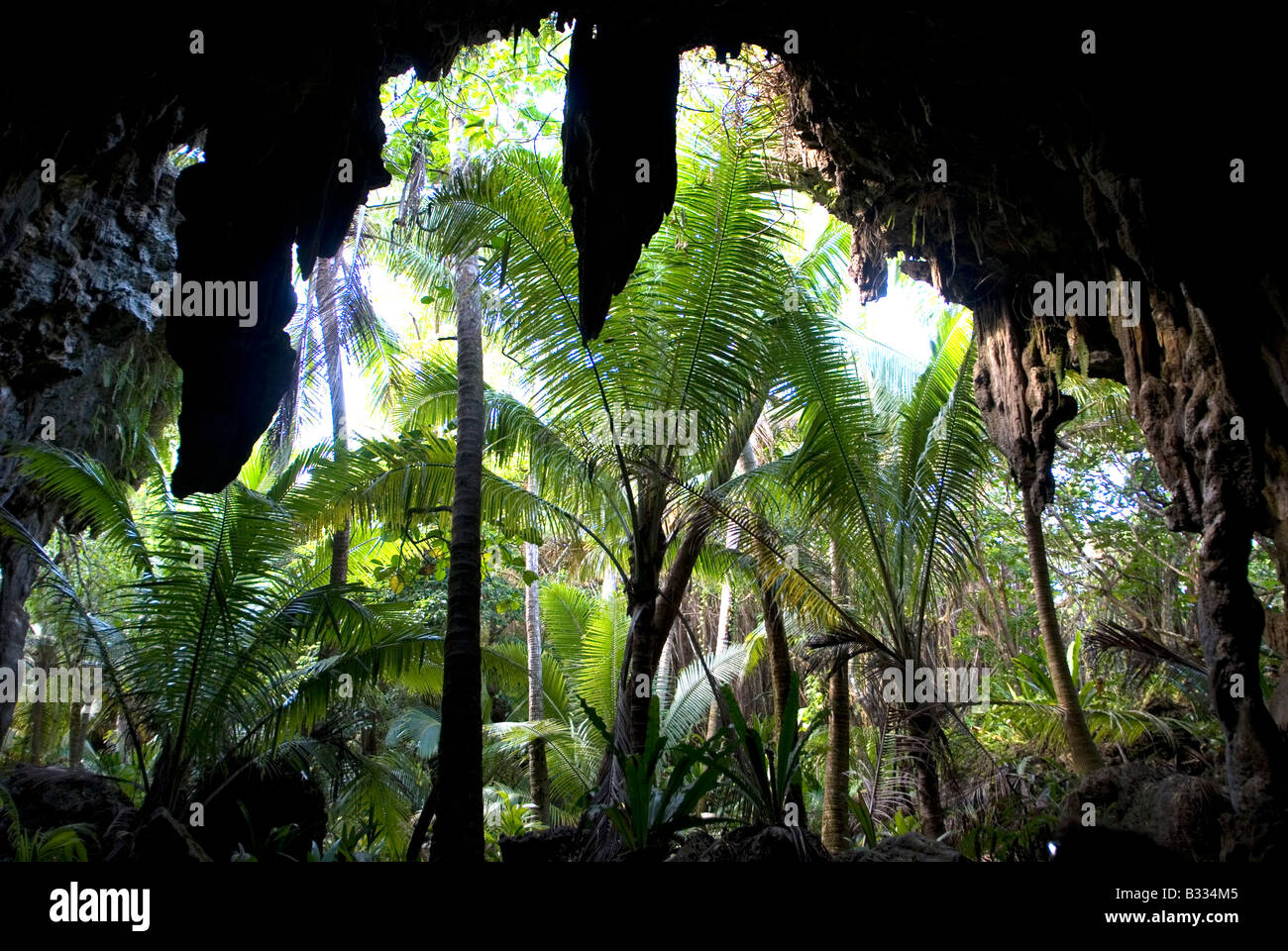 Atiu Cook Islands High Resolution Stock Photography and Images - Alamy