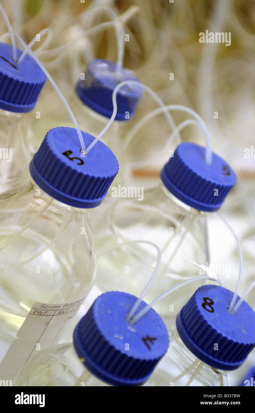 Bottles in a Testing Lab Stock Photo - Alamy