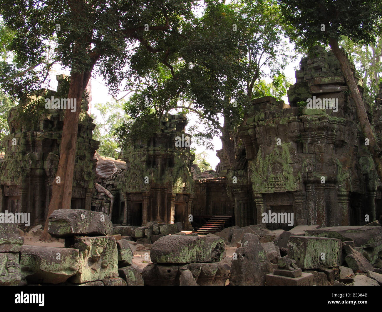 Asia, Cambodia, Khmer-temples , Ta Prohm, monastery temple, overgrown ...