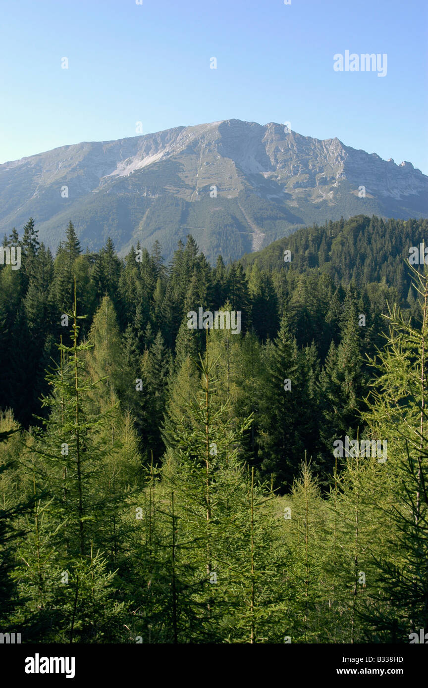 Oetscher hi-res stock photography and images - Alamy