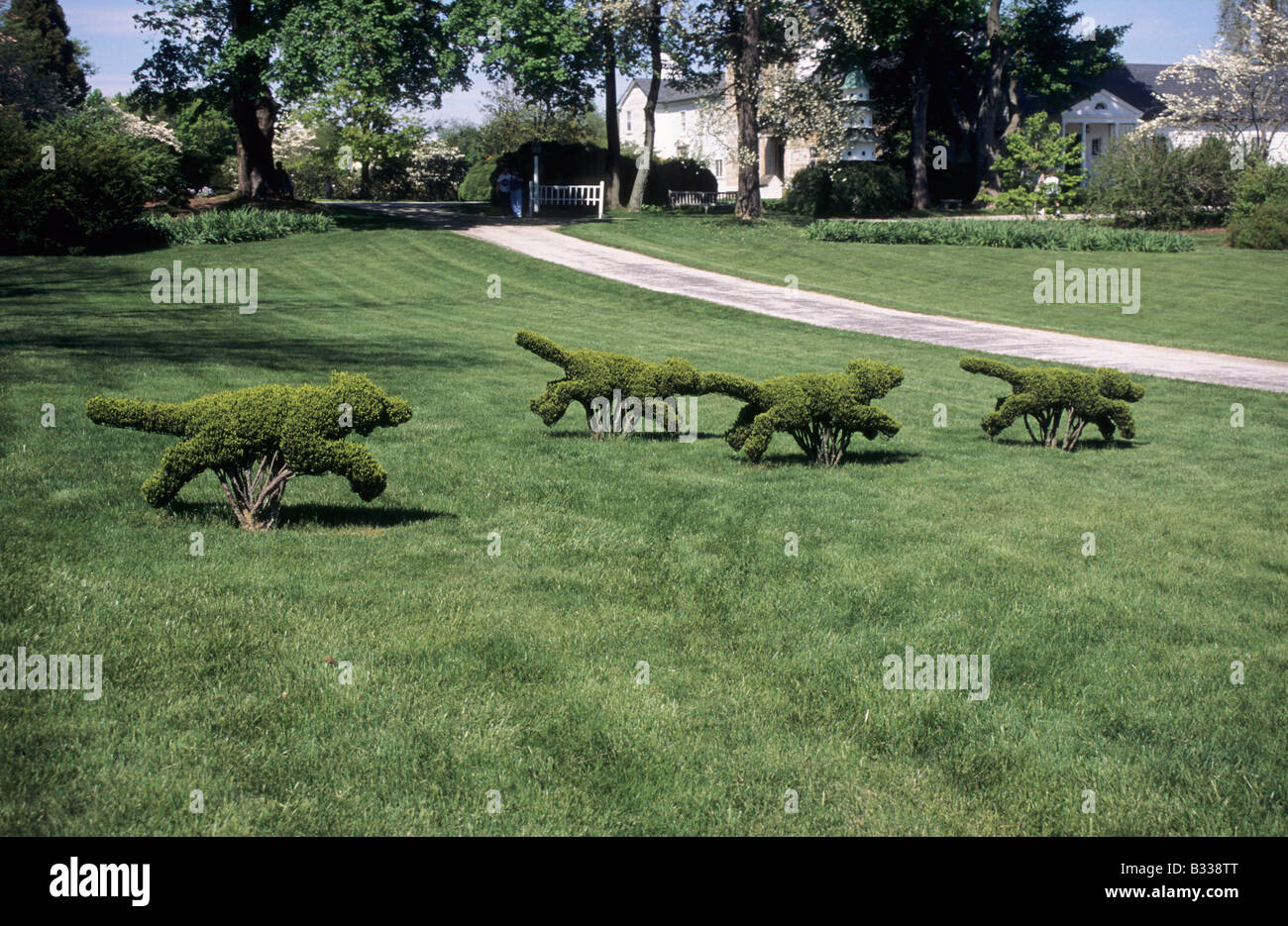 Four topiary hounds in fox hunt run across lawn Ladew Topiary Gardens ...