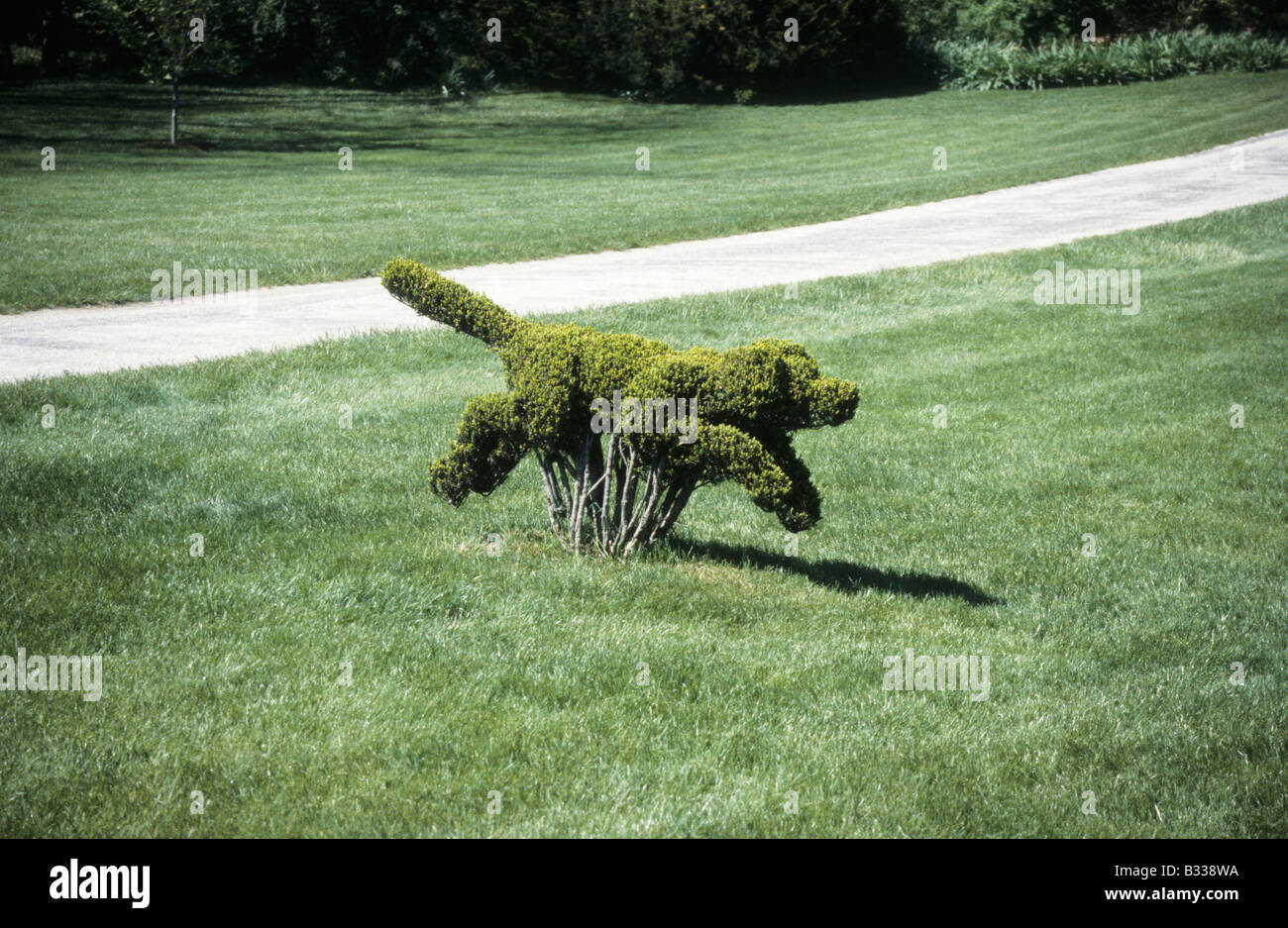 Dog topiary hi-res stock photography and images - Alamy