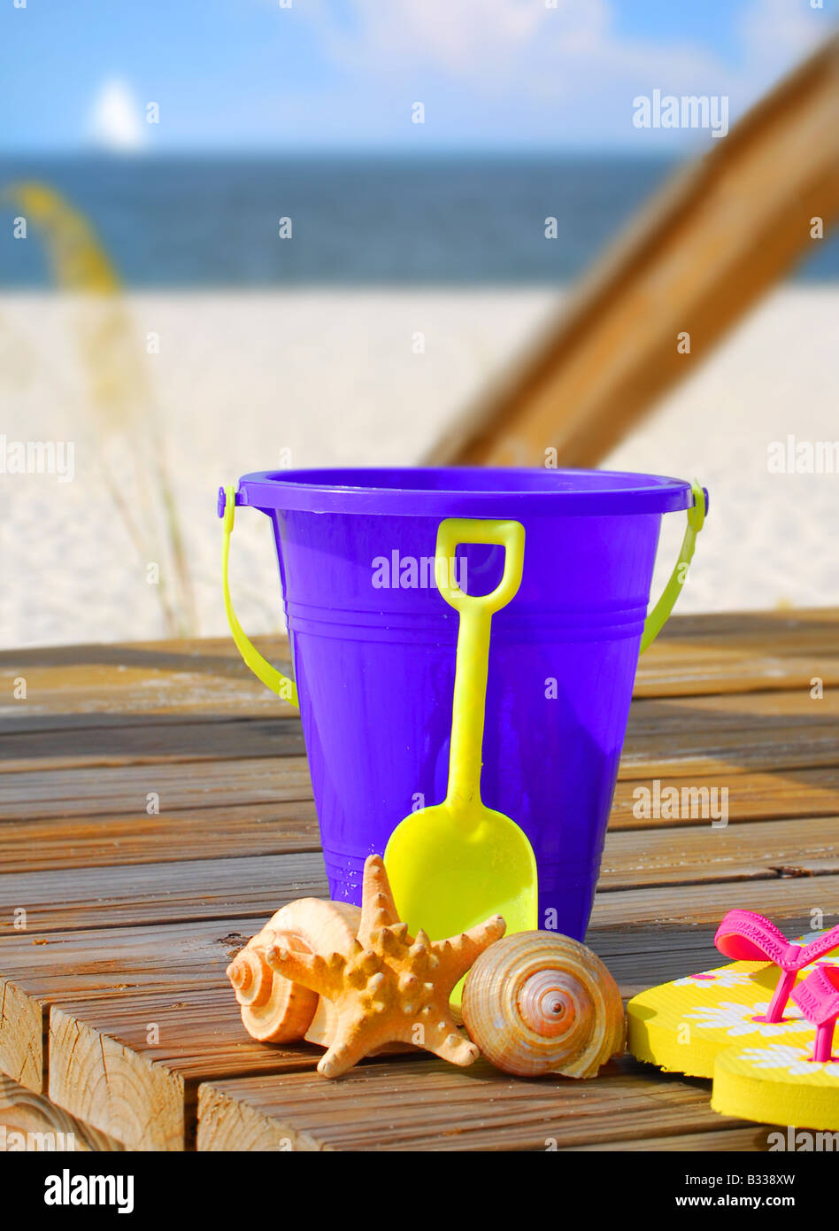Seashells and starfish by beach bucket Stock Photo - Alamy