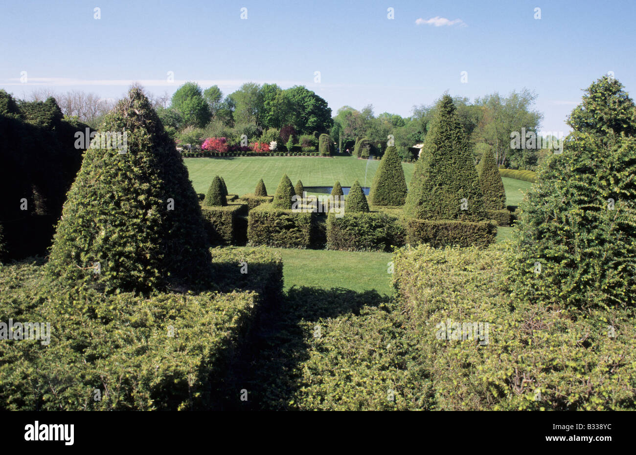 Geometric topiary looking out to the Great bowl Stock Photo - Alamy