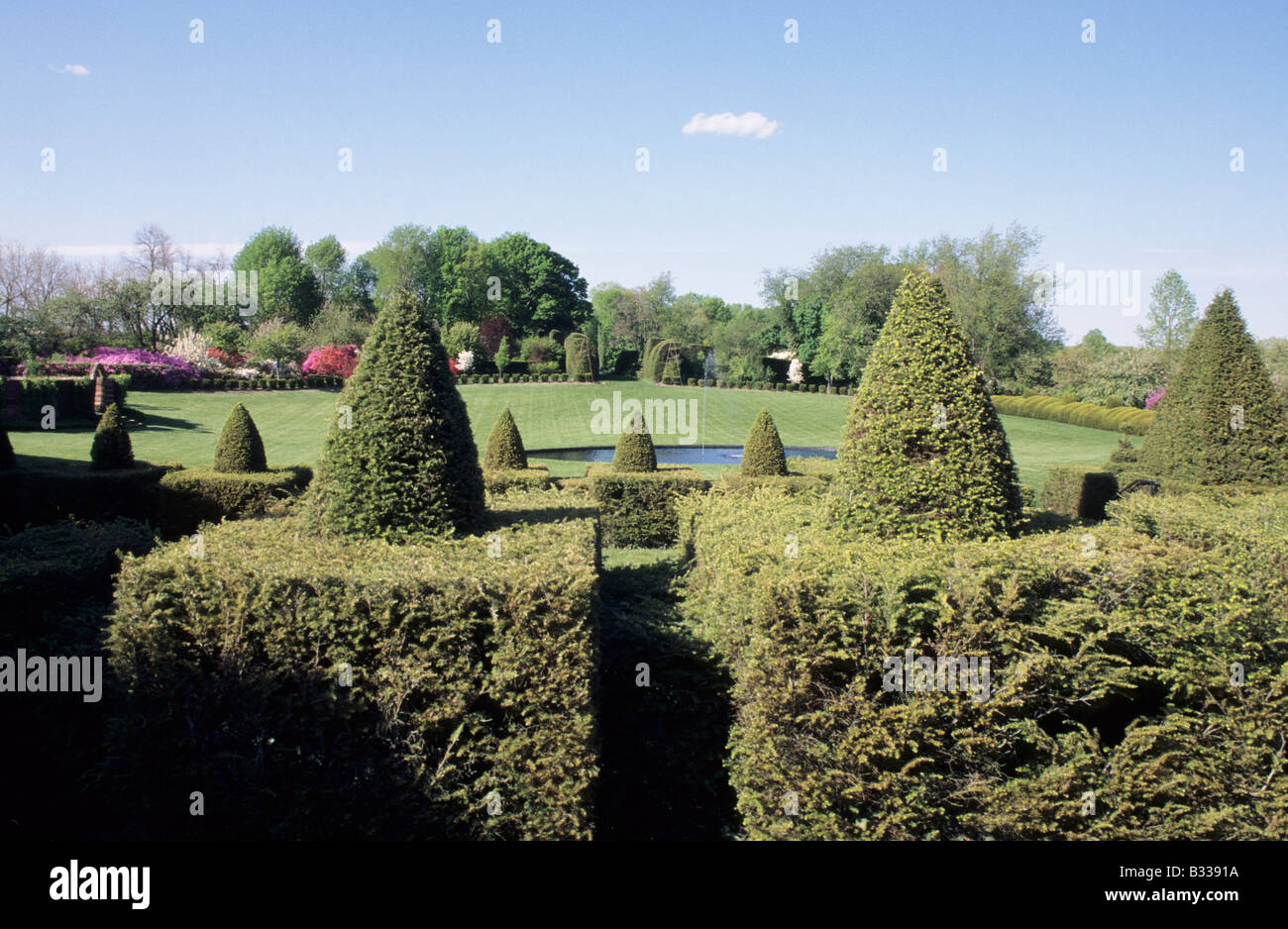 Geometric topiary hedges and Great bowl Stock Photo - Alamy