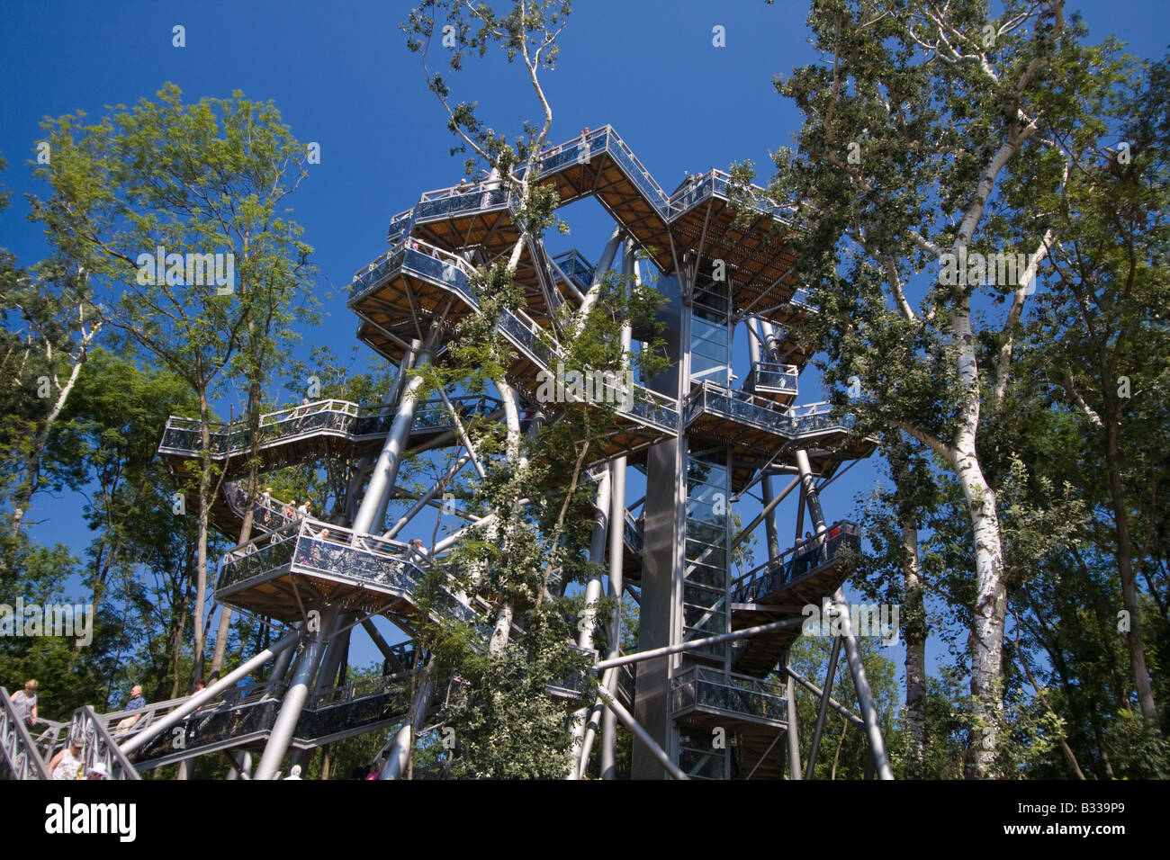 tree-top path at garden fair in Tulln Stock Photo - Alamy
