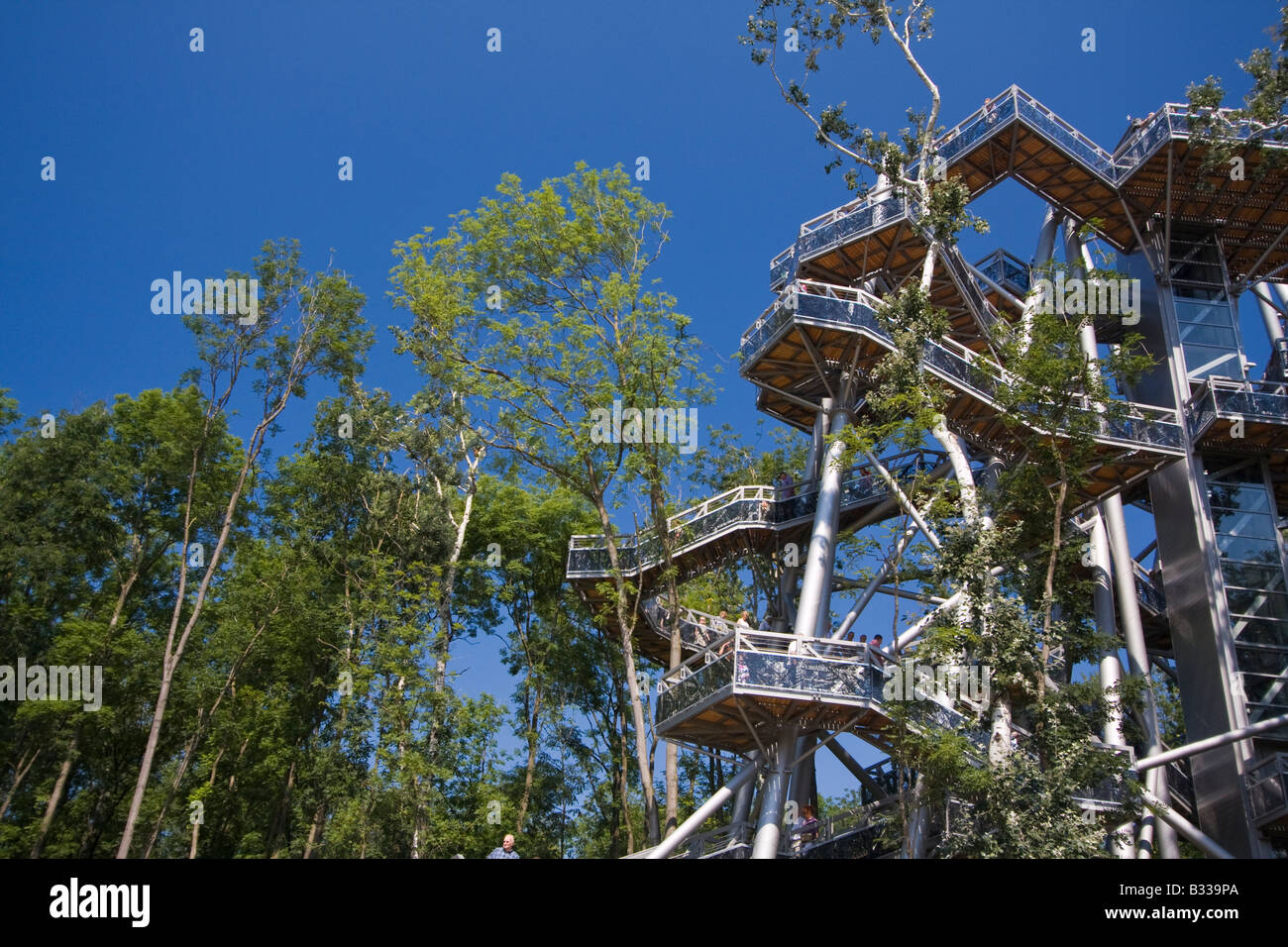 tree-top path at garden fair in Tulln Stock Photo - Alamy