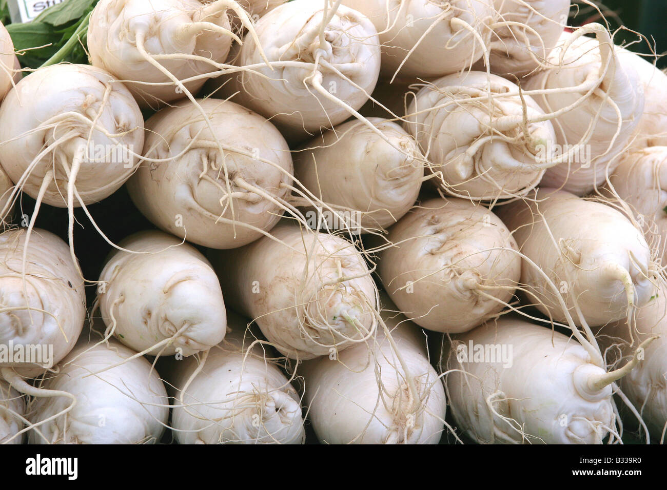Food picture of radishes hi-res stock photography and images - Alamy