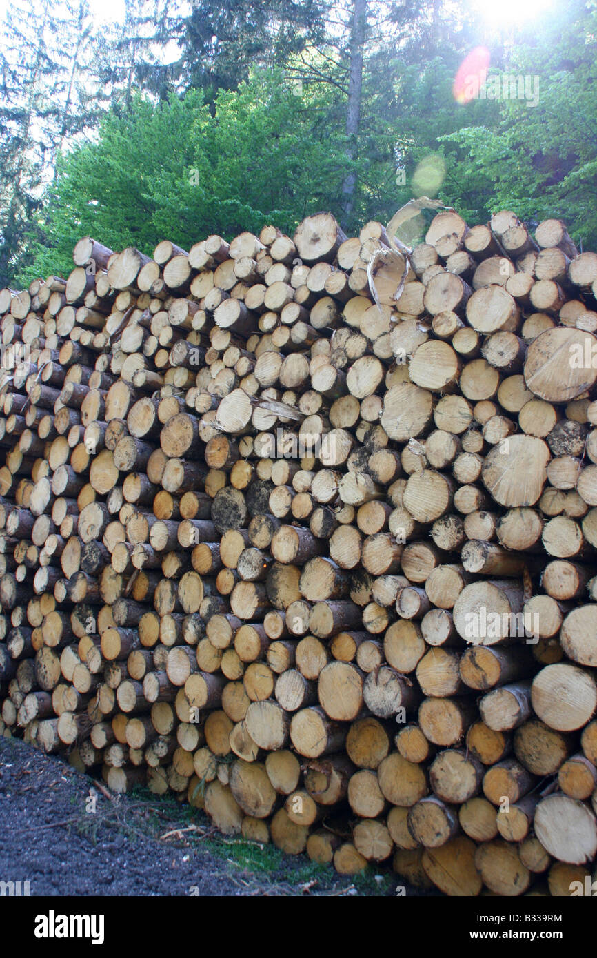 pile of wood Stock Photo - Alamy