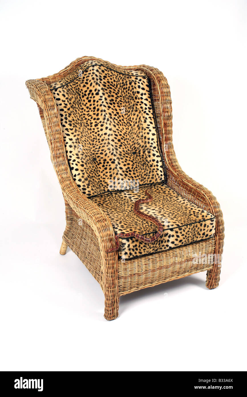 Serpent serpents snake Cut Out Stock Images & Pictures - Alamy