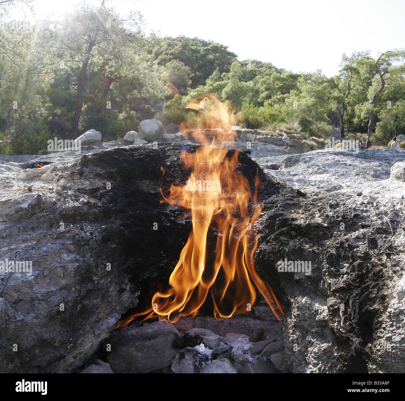 Greek mythical creature hi-res stock photography and images - Alamy