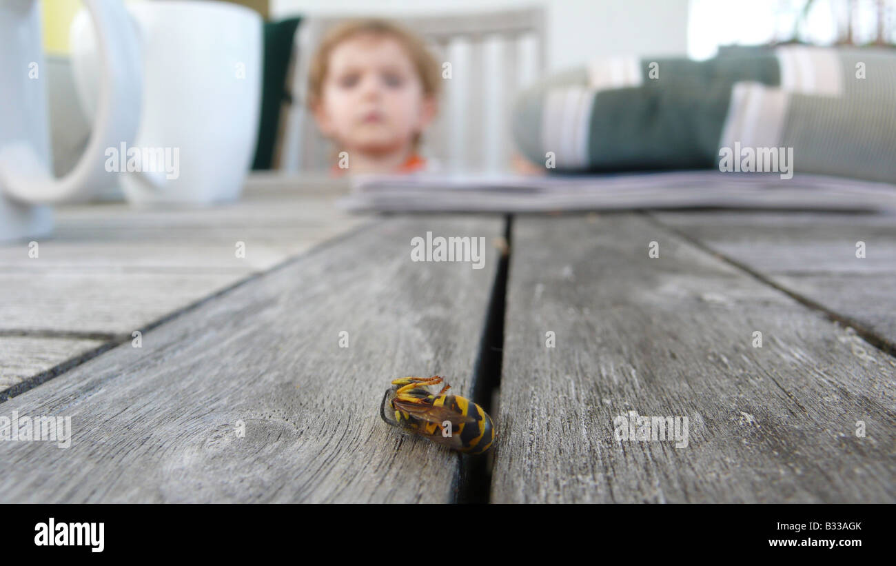 Scary looking insects hi-res stock photography and images - Alamy