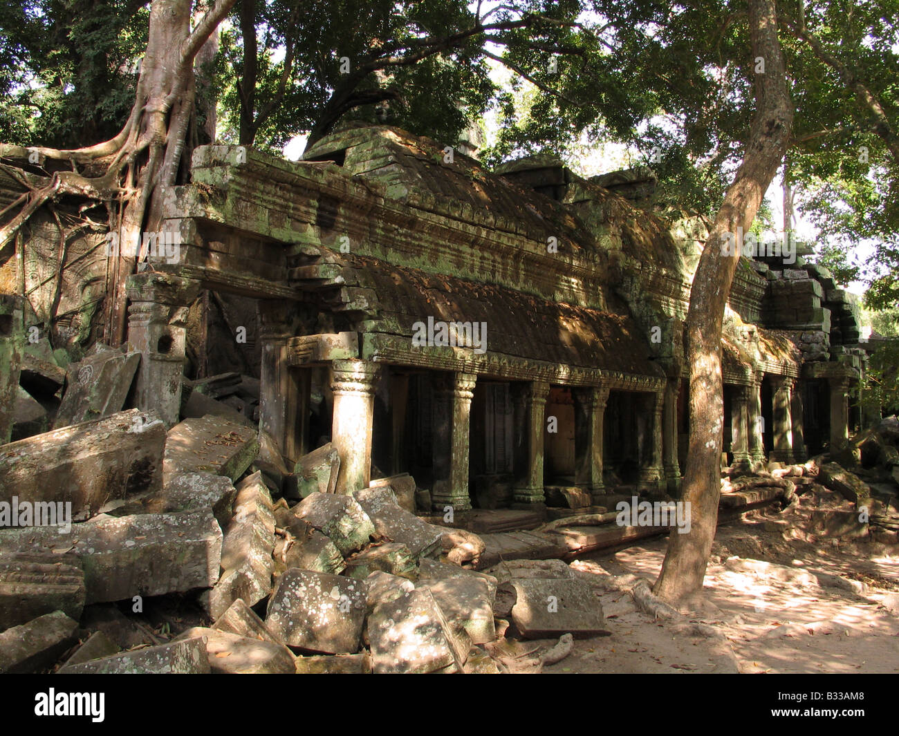 Asia, Cambodia, Khmer-temples , Ta Prohm, monastery temple, overgrown ...