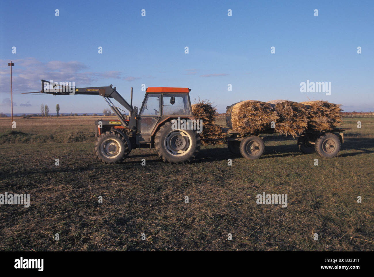 Tractor with trailer Stock Photo - Alamy