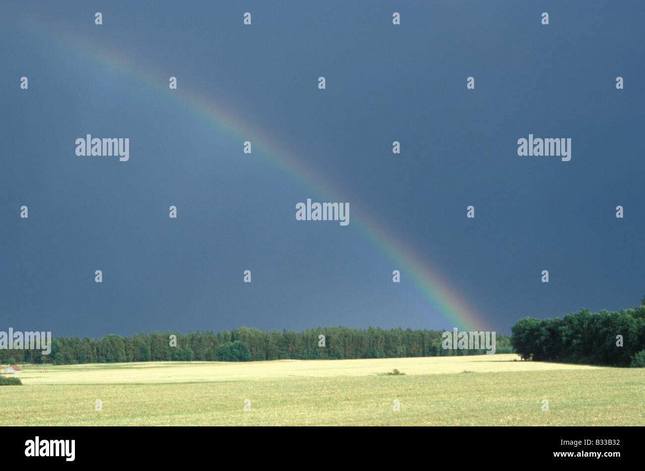 Rainbow over a field landscape Stock Photo - Alamy