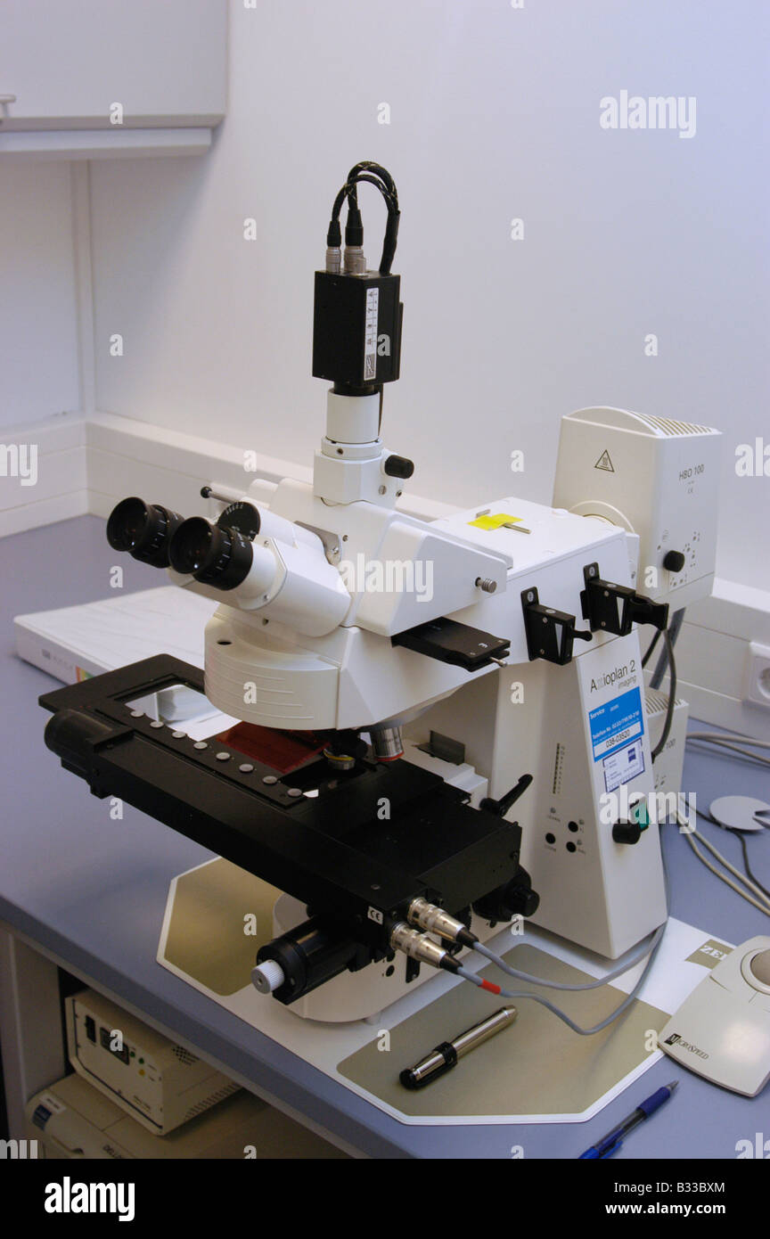 Microscope in the laboratory Stock Photo - Alamy