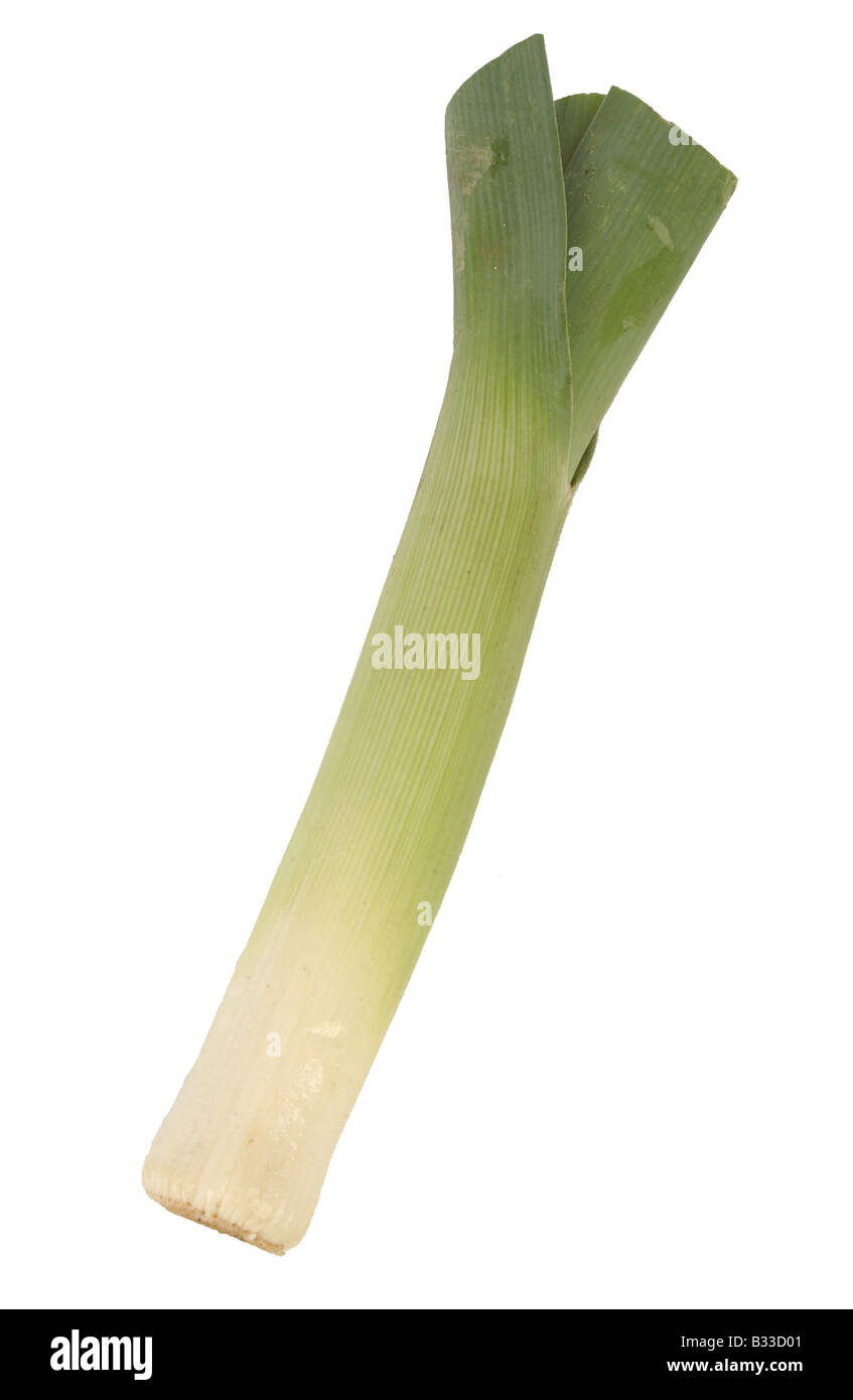 Welsh leek symbol Cut Out Stock Images & Pictures - Alamy