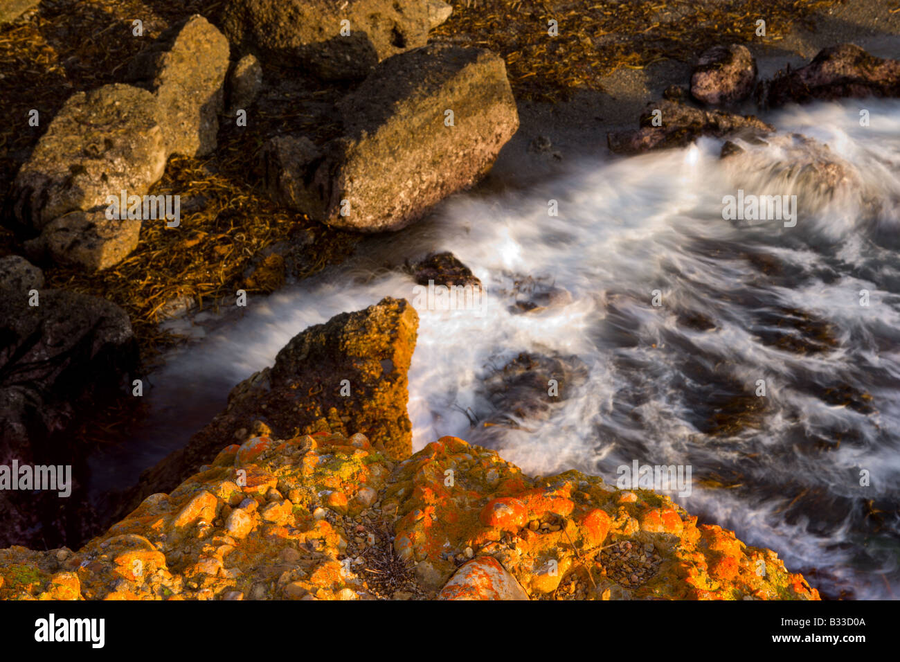 Lichen colored rocks overlook a wave splashed cove near Hidden Beach ...